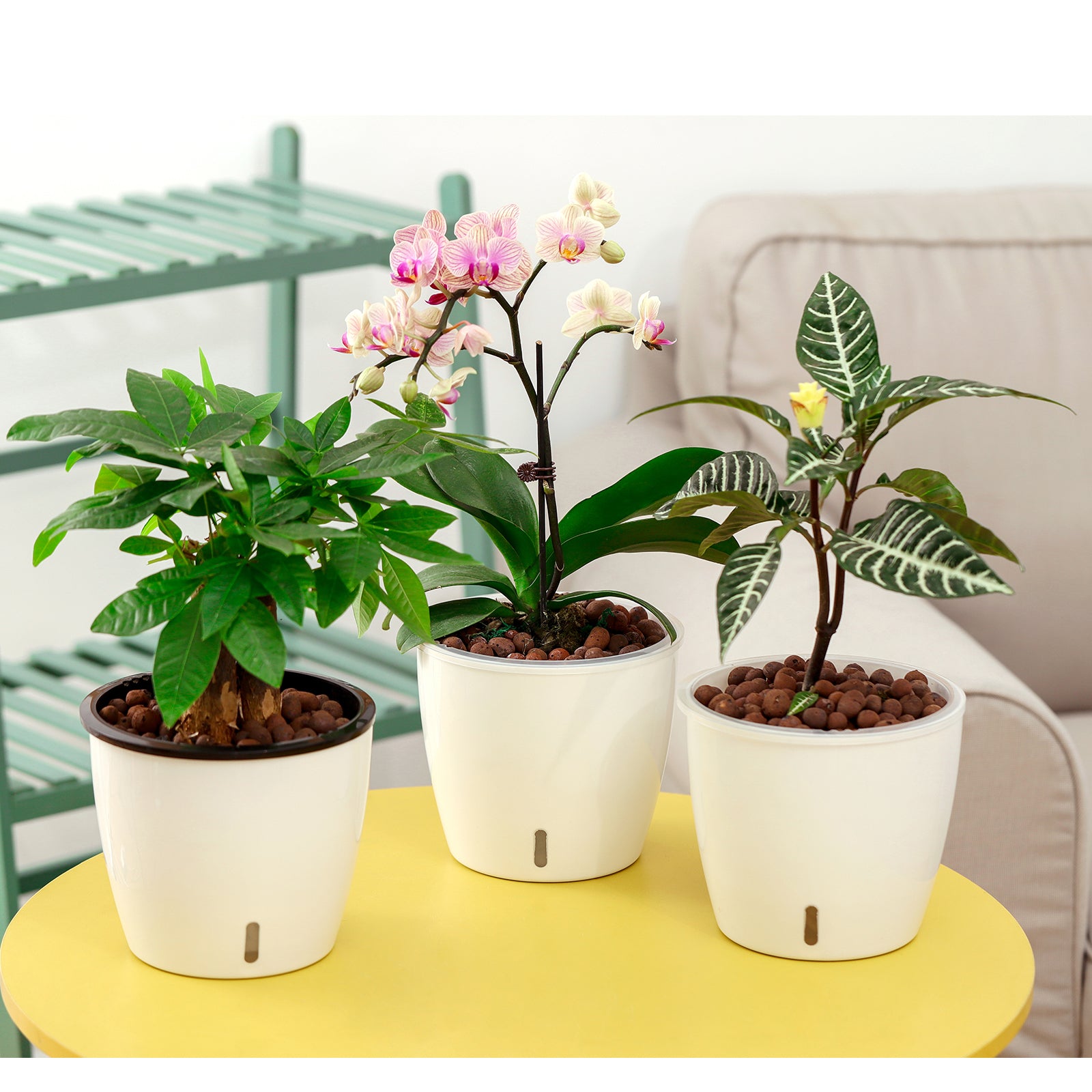 Indoor Self Watering Planters – planterhoma